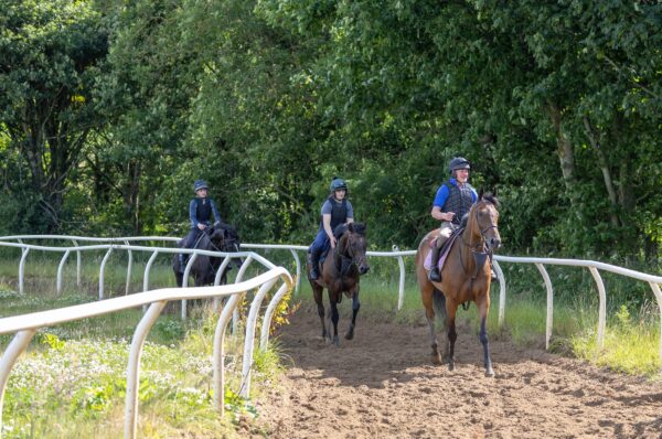 Haveyougotmymoney | Paul Robson Racing