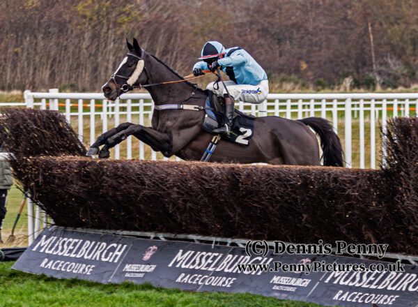 Okavango Delta - Musselburgh | Paul Robson Racing