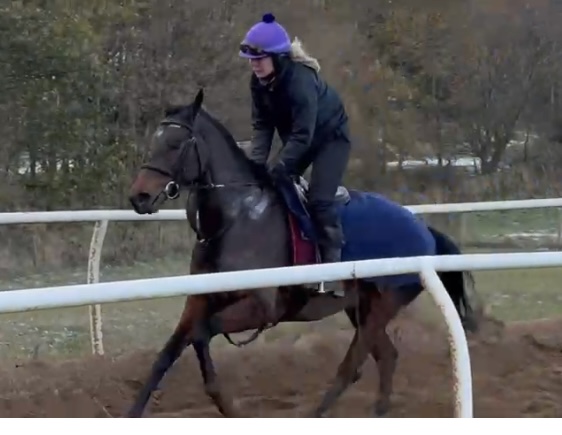 Ayr Monday | Paul Robson Racing